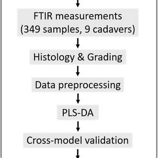 Study Design Flowchart Showing The Number Of Fourier Transform Infrared