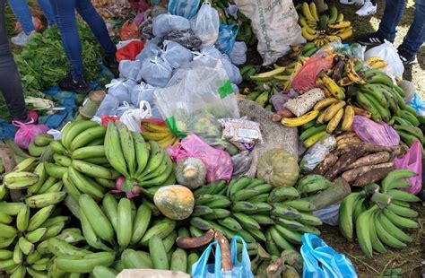Trueque Consejo Regional Indígena Del Cauca Cric