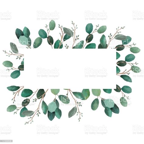 유칼립투스 고리잔탈 프레임 청첩장 수채화로 그린 흰색 배경 디자인 보헤미안 스타일 0명에 대한 스톡 벡터 아트 및 기타 이미지 0명 건강관리와 의술 결혼식 Istock