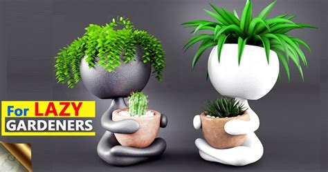 Top Zero Or Low Maintenance Plants For Lazy Gardeners Gardener Guidebook