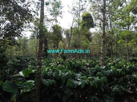 Acres Estate For Sale Virajpete Coorg Virajpet Coorg FarmAds In