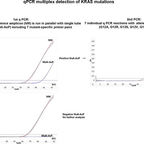 Design Of Multiplex Qpcr For Kras Genotyping In A First Step Was Download Scientific Diagram