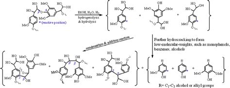 Possible Lignin Depolymerization Mechanism In Supercritical