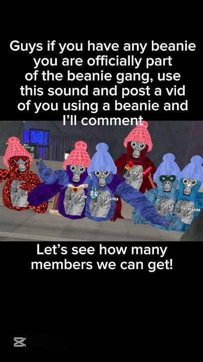 Beanie Gang Use This Sound Gtag Beanies Savegorillatag Youtube