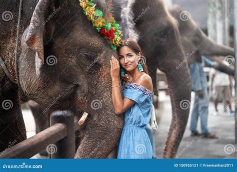 Young Woman Hugging The Head Of An Elephant Stock Image Image Of