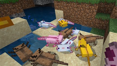 How To Find Tame And Breed Minecraft Axolotls Gamesradar