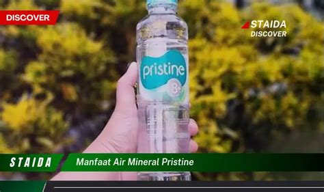 Manfaat Air Mineral Pristine Yang Jarang Diketahui Wajib Dicoba
