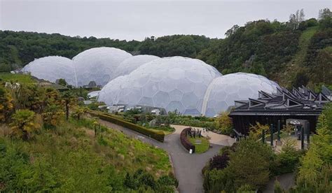 Development Of Biomimetic Architecture
