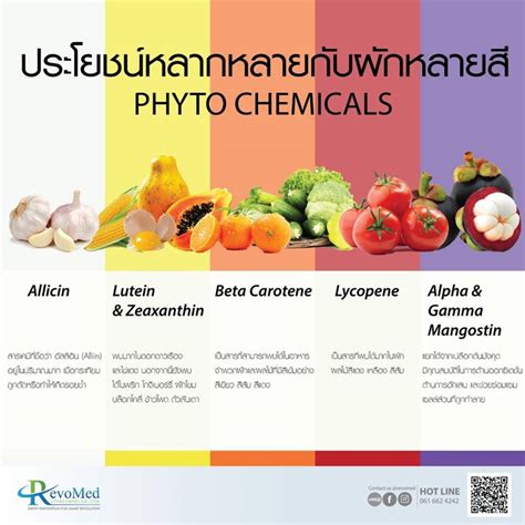 Phyto Chemicals สุขภาพดีด้วยคุณประโยชน์ผักและผลไม้ 5