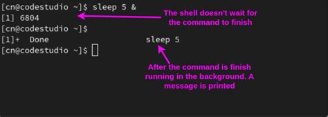 Linux Control Operators Naukri Code 360