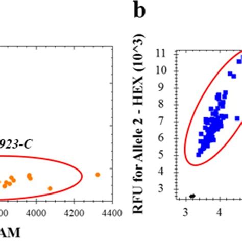 The Allelic Segregation Of The Kasp Marker Kasp6923 In Different