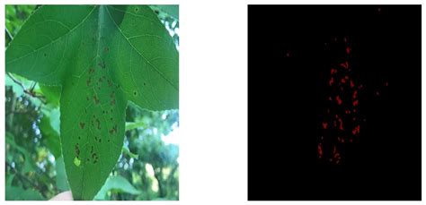 Image Segmentation Method For Sweetgum Leaf Spots Based On An Improved
