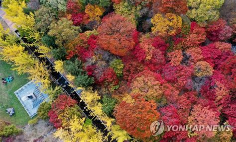 울긋불긋 물든 가을…단풍으로 물든 도심 공원 연합뉴스