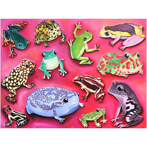Frog Collage Canvas Posters Etsy