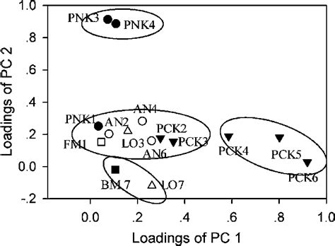Individual Tree Ring Standard Chronologies Plotted According To Their Download Scientific