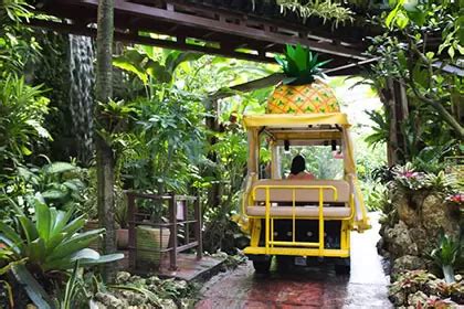 沖繩駕車路線讓我們被古宇利島的大海和水族館治癒吧 MATCHA