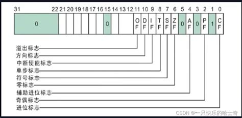 汇编初学习 Csdn博客