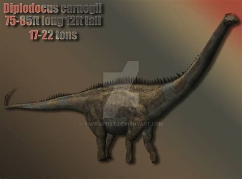 Diplodocus Carnegii Profile By Yappartist On Deviantart