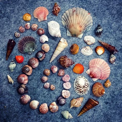 roblox oa codesignal is crazy r csmajors