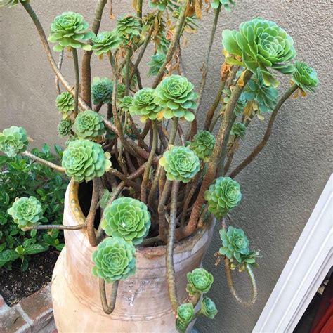 Walance★★オフィシャルブログ