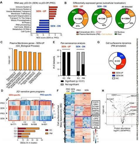 Cancer Discov 衰老重塑微环境感知以促进抗肿瘤免疫 知乎