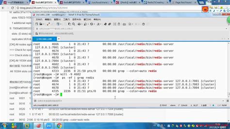Redis Java Java
