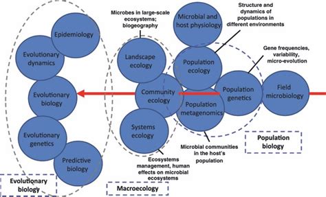 A Comprehensive View Of The Scientific Fields In Which Public Health