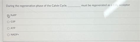 Solved During The Regeneration Phase Of The Calvin Cycle