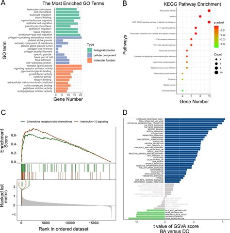 The Function And Pathway Enrichment Analyses Ab Go And Kegg