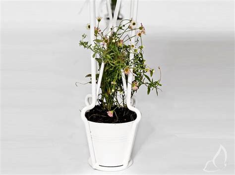 Jailmake Plantable Des Plantes Table Maxitendance