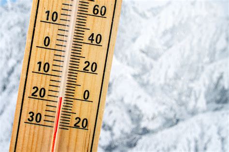 냉동 섭씨 20도 서브 제로 흐린된 눈으로 보여주는 온도계의 배경에서 나무 덮여 있다 극단적인 추운 날씨를 설명 하는 개념 0에