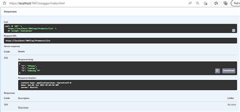 Host And Publish Net Core 6 Web Api Application On Iis Server By