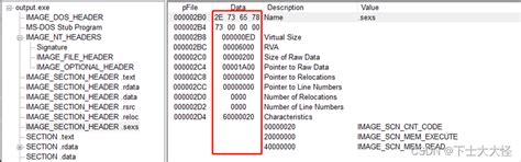 Pe文件感染程序设计（pe病毒）pe File Csdn博客