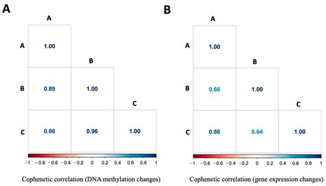 Molecular Regulation Of Fetal Brain Development In Inbred And Congenic