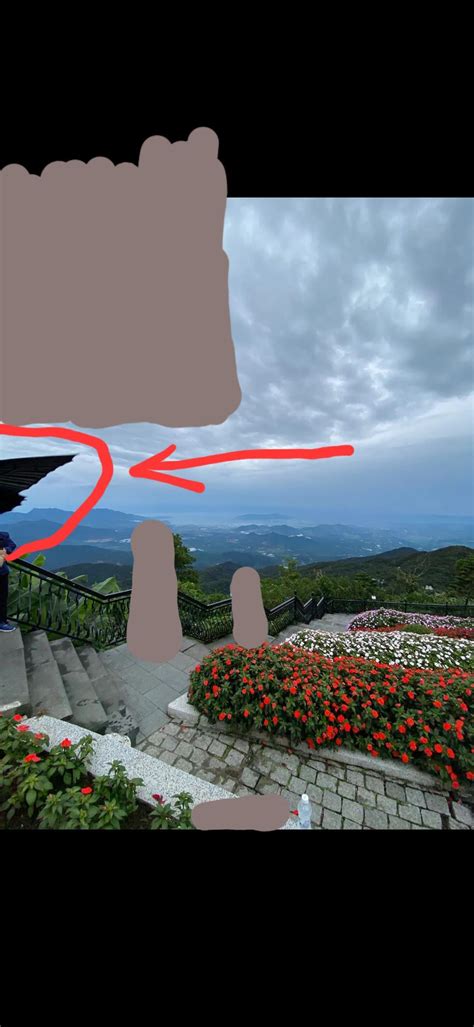 Is This A Bat Potential Bat Exposure R Bats