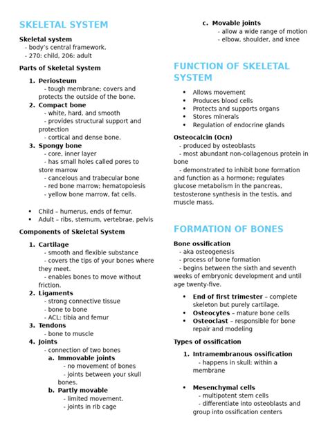 Anaphy Rev2 Pdf Bone Vertebral Column