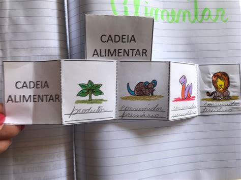 Jogo Da Cadeia Alimentar Cr Enviro Com