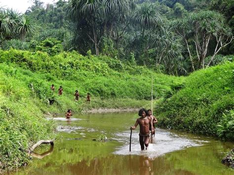Self Isolation Is Why Uncontacted Tribes Survive Today Survival