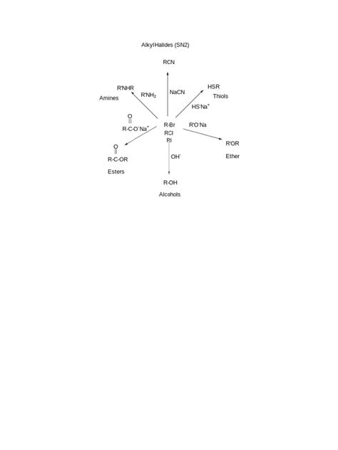 Alkyl Halide Map Pdf