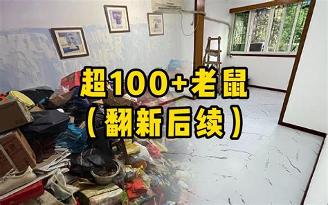 加更！《捅了鼠鼠的老巢，再一次突破上限，心态彻底爆炸》后续更新 马俐管家 马俐管家 哔哩哔哩视频