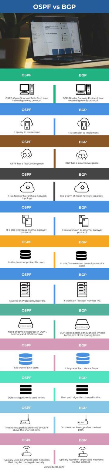 OSPF Vs BGP Learn The Key Ddifferences And Top Comparisons