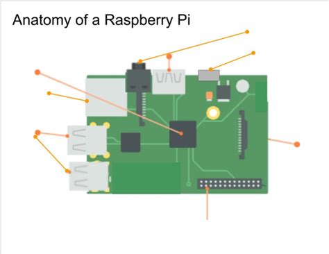 Anatomy Of A Raspberry Pi Diagram Quizlet