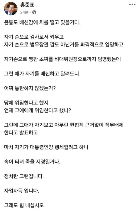 홍준표 “깜도 안 되는 애 키워놨더니 배신 윤통 통탄할 것”한동훈 맹비난