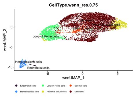 P1 Dimplot Experiment Aggregate Reduction Umap Rna Label True Repel