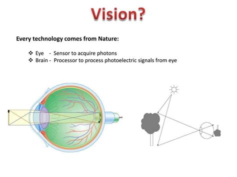 Introduction To Image Processing With Matlab Pptx Photo Editing Software Computer Software