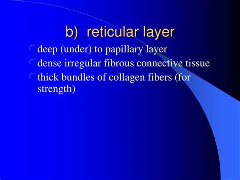 Ppt The Integumentary System Powerpoint Presentation Free Download Id 498991