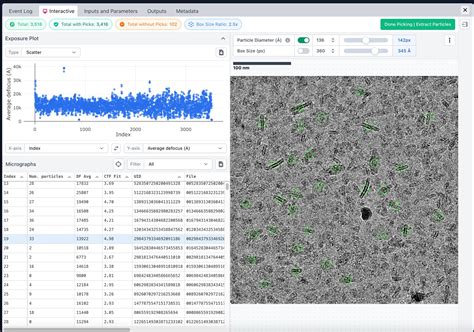Inspect Particle Picks Rejecting High Contrast Particles Bug Troubleshooting Cryosparc Discuss