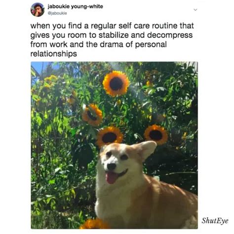 Self Care Memes A Fun Way To Prioritize Well Being Shuteye
