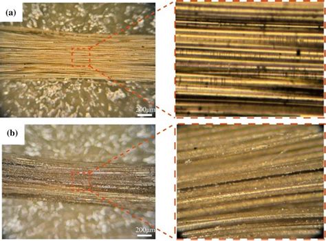 The Metallographic Micrographs Of Basalt Fiber Surface A Bf B Mbf Download Scientific Diagram