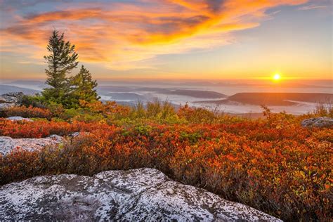 Dolly Sods Wilderness